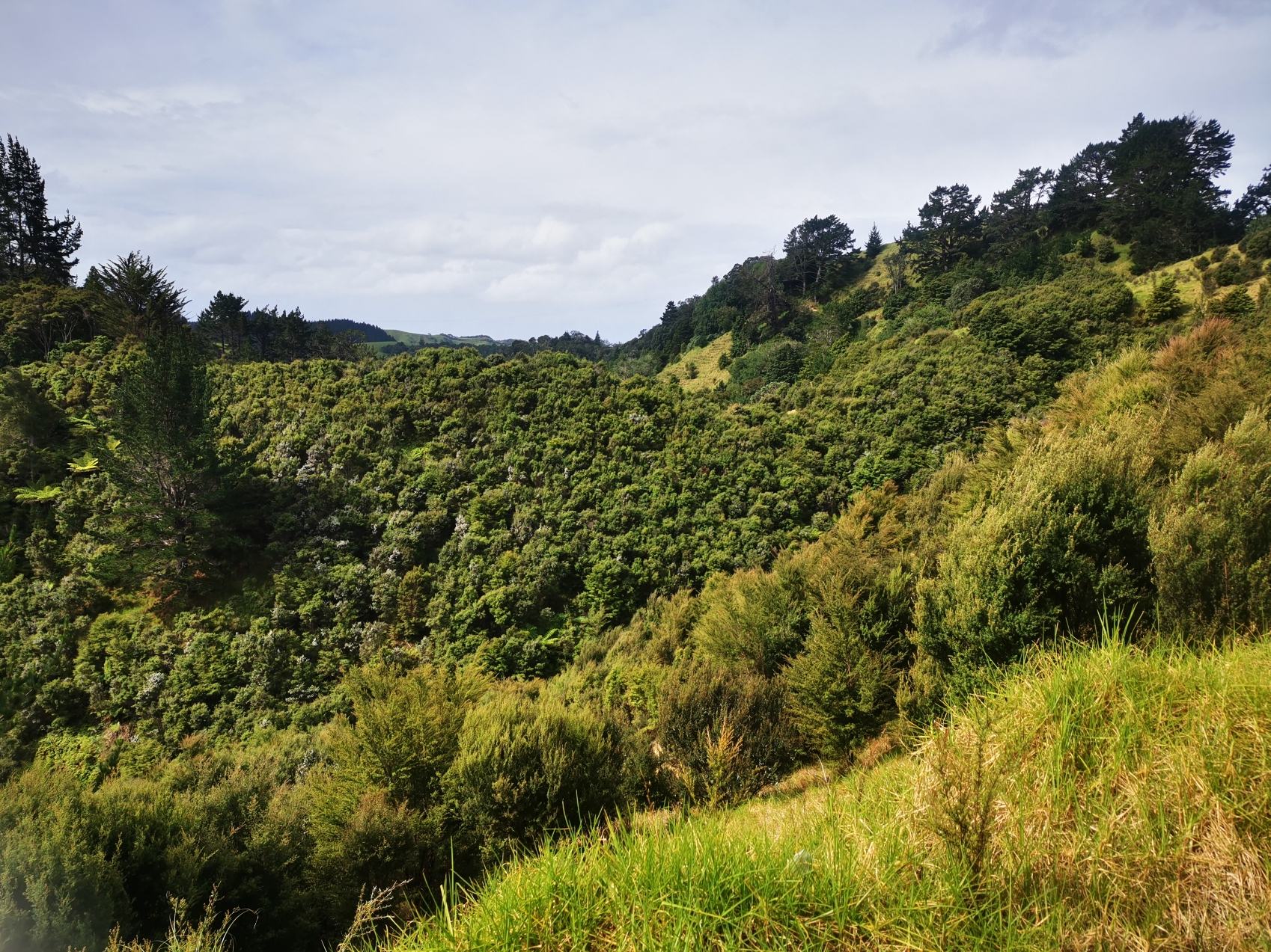 Te Araroa Nordinsel: Von Whananaki nach Waitangi - Abenteuer Outdoor